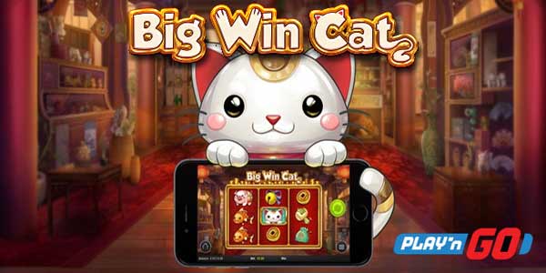 Spin the reels of Big Win Cat by Play'n Go - Vegas Slots